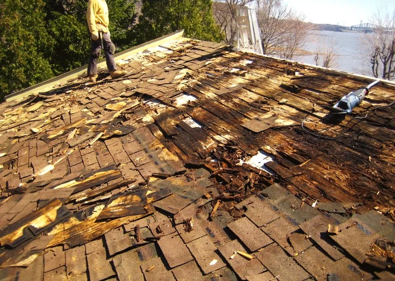 Roofing Problems Caused by Attic Moisture: Prevention & Cure